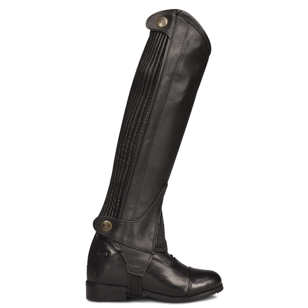Kids' Pro Leather Half Chap – Ovation Riding