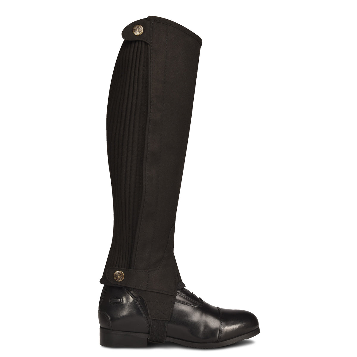 Women's Amara Ribbed Half Chaps - Black – Ovation Riding