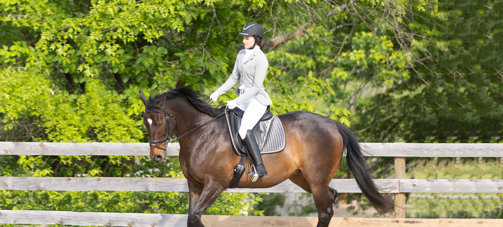 Ovation Riding | High Quality Equestrian Product
