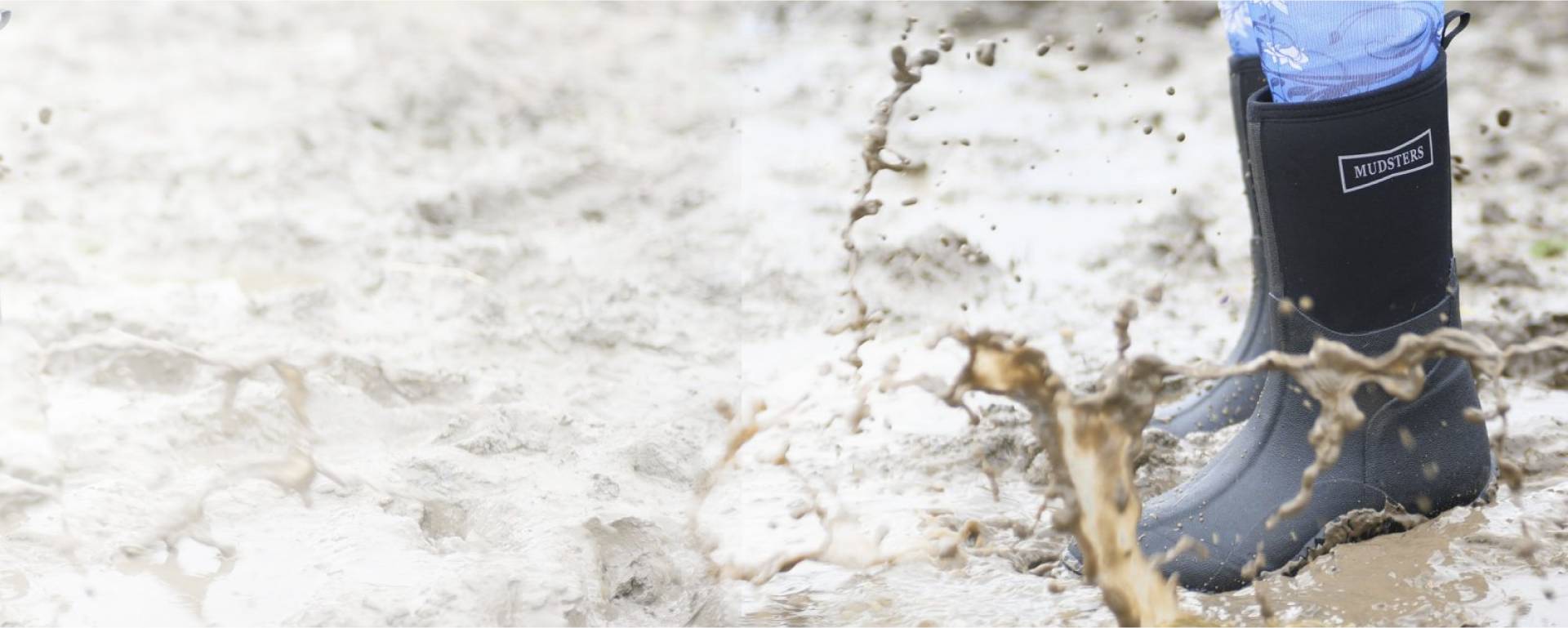 Collections – Ovation Riding